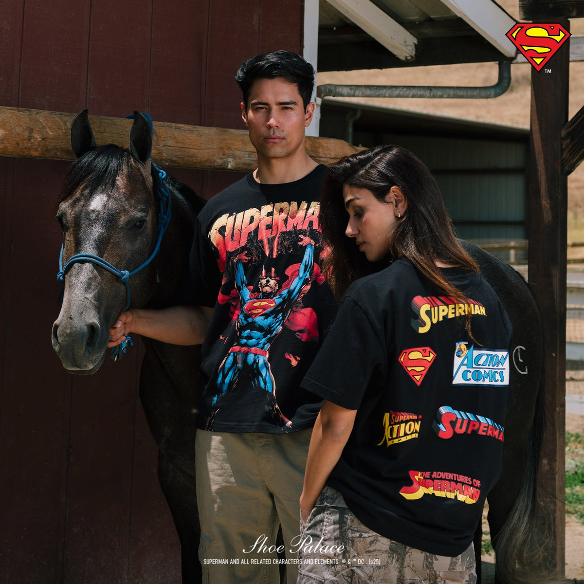 Superman x Shoe Palace